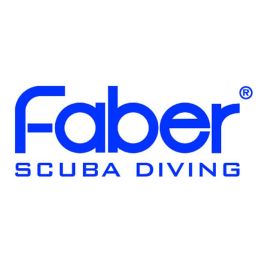 Faber STEEL TANK 120.1 CU FT; GUNMETAL GRAY W/THERMO PRO VALVE AND BOOT ...